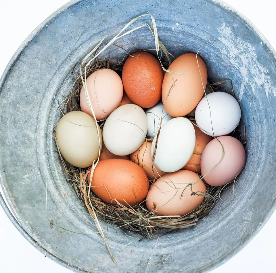 our story about us hunter way farm is a small farm located in the ...