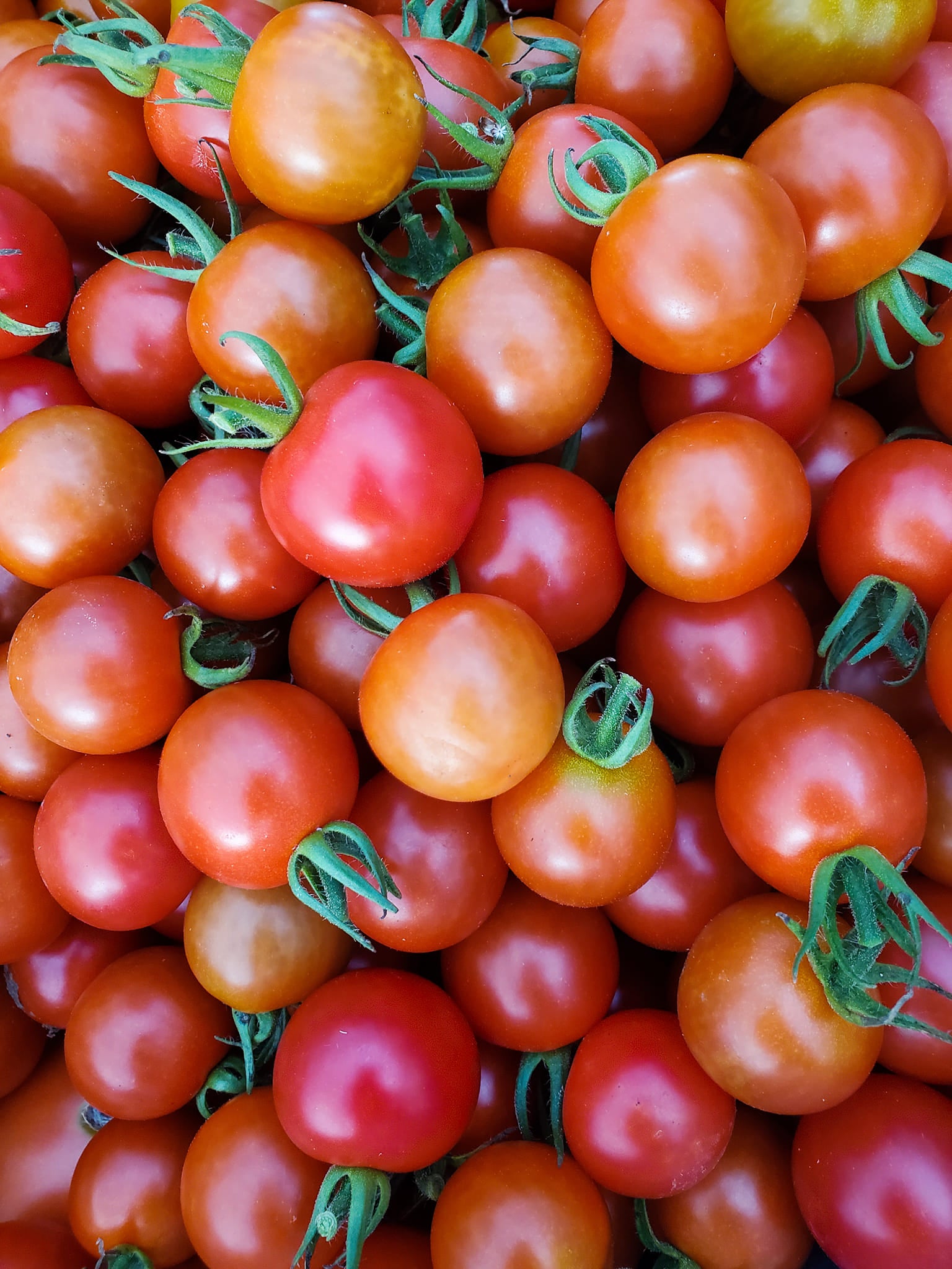 Blog | Hunter Way Farm